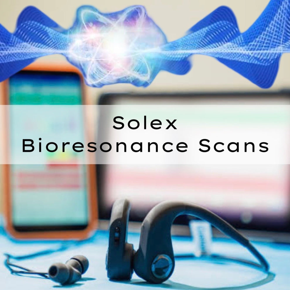 Solex Bioresonance Scan – Bush Beautique